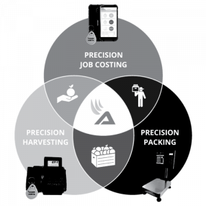 Timeline - Adagin Technologies